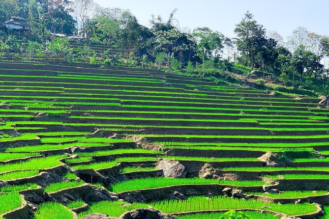 Mai Chau - Pu Luong 2 days - Reviews in a Nutshell