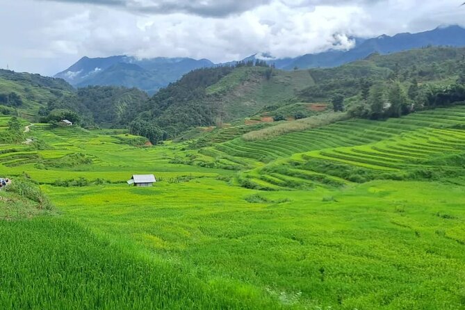 Mai Chau  Pu Luong 2D1N - What Travelers Say