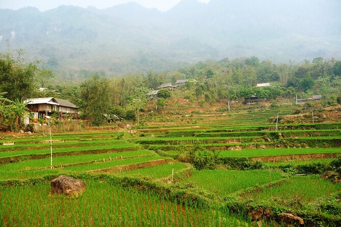 Mai Chau  Pu Luong 2D1N - Who Would Love This Tour?