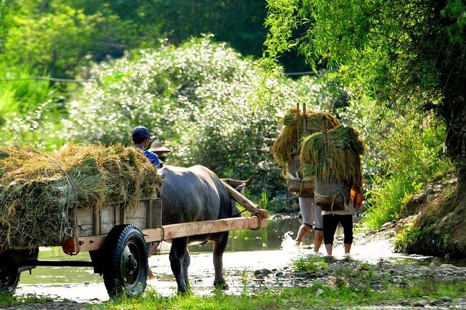 Mai Chau - Pu Luong trekking 3 days 2 nights - Practicalities and Considerations
