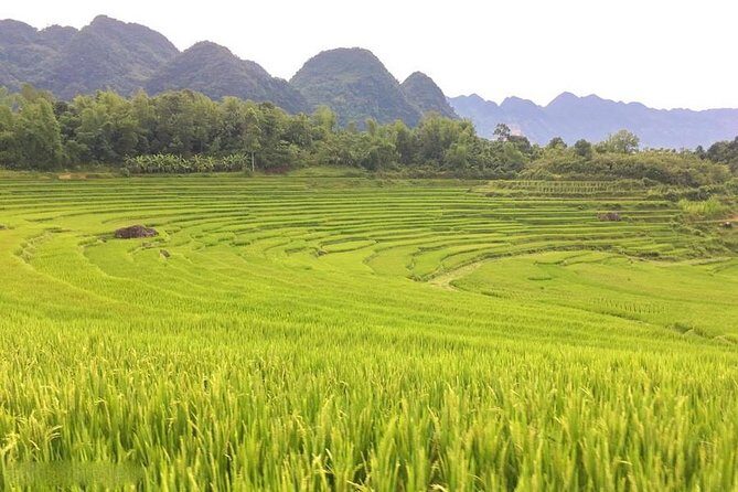 Mai Chau Puluong 3Day Private Tour Terraced Rice fields, Trekking - Day 2: Trekking and Exploring Pu Luong