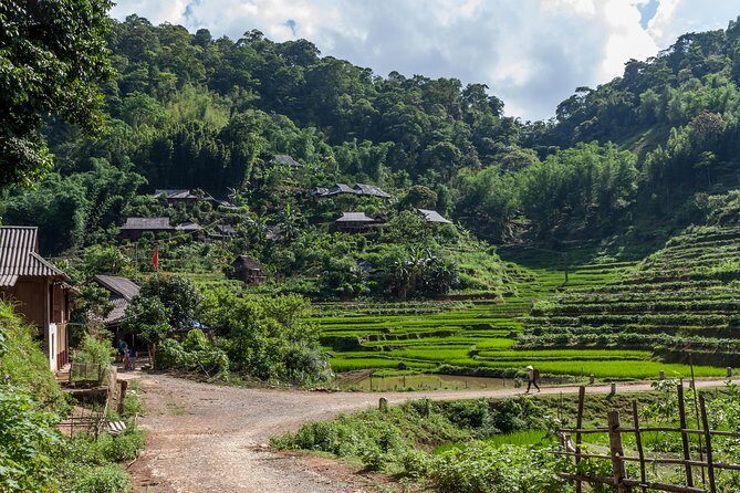 Mai Chau Puluong 3Day Private Tour Terraced Rice fields, Trekking - Analyzing the Value