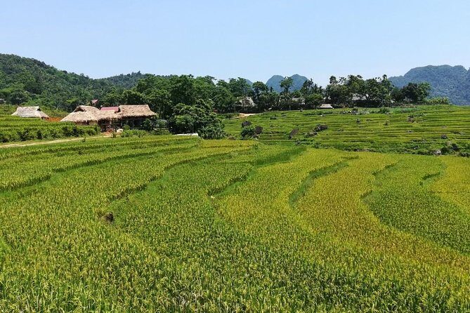 Mai Chau Puluong 3Day Private Tour Terraced Rice fields, Trekking - FAQs