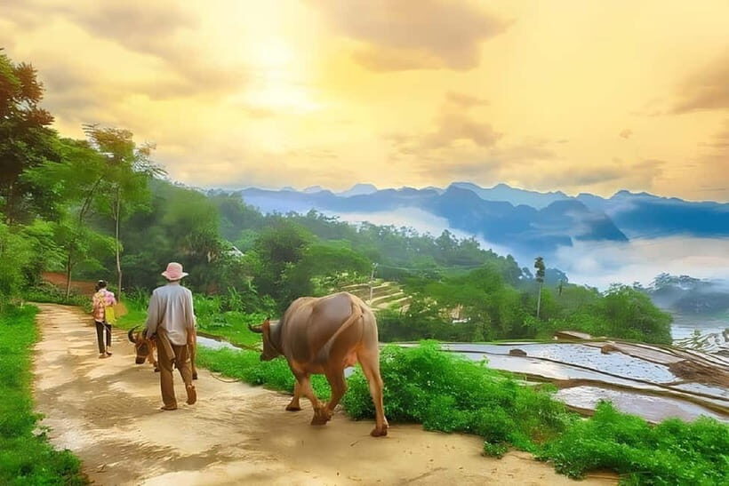 Mai Chau Valley 2-Day, 1-Night Adventure from Hanoi - An Honest Breakdown of the Mai Chau Valley Tour