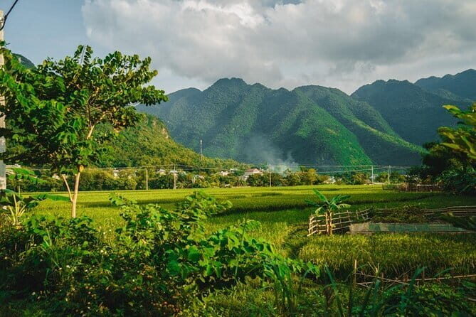 Mai Chau Valley Tribe Day Tour from Hanoi - A Detailed Look at the Mai Chau Valley Tribe Day Tour