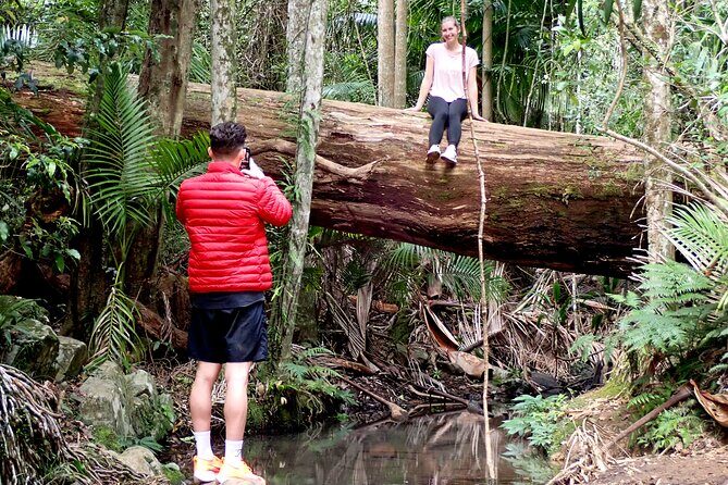 Maiala Rainforest Tour - Who Would Enjoy This Tour?