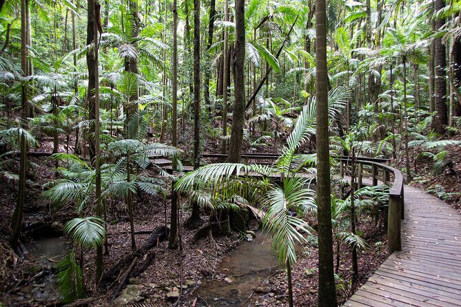 Maiala Rainforest Tour - Final Thoughts