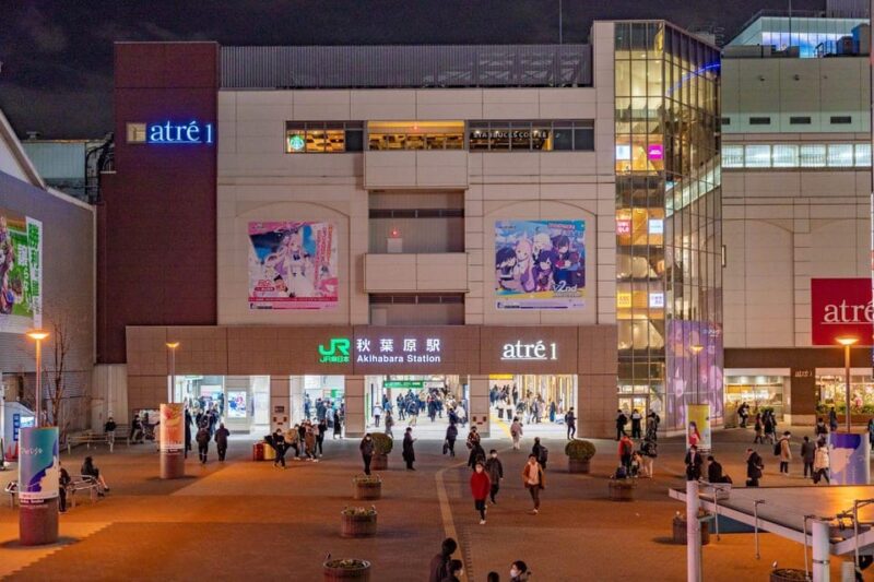 Maid Cafe Tour by Former Maid Cafe Manager - Communication Assistance