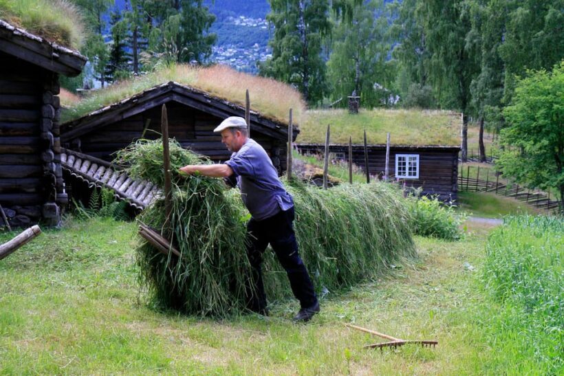 Maihaugen Museum/The Norwegian Olympic Museum, Lillehammer. - Discover Norway’s Largest Open-Air Museum and Olympic Heritage in Lillehammer