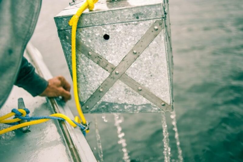 Maine: Belfast Family Treasure Hunt - The Experience: Pros and Cons