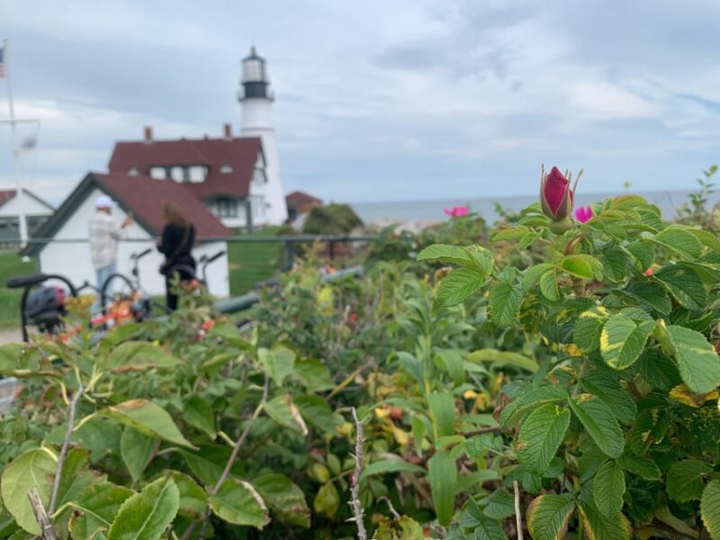 Maine Coast: Bicycle Rentals - Key Points