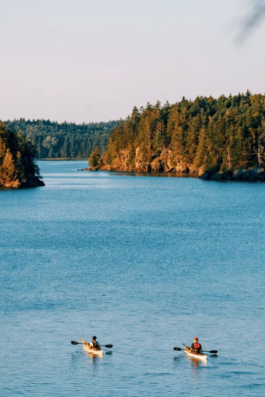 Maine: Full or Half-Day Single Kayak Rental - Detailed Breakdown of the Experience