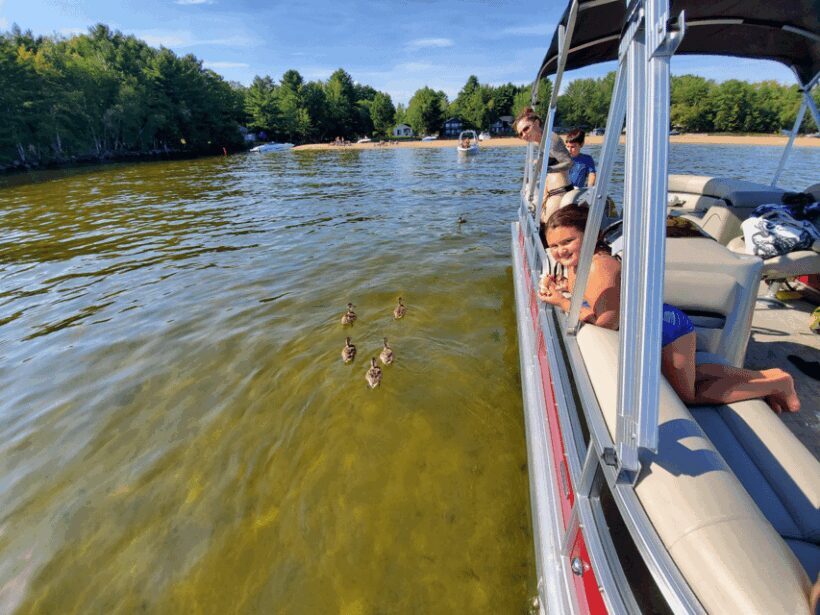 Maine: Penobscot Downriver Boat Rides - An In-Depth Look at the Penobscot River Cruise