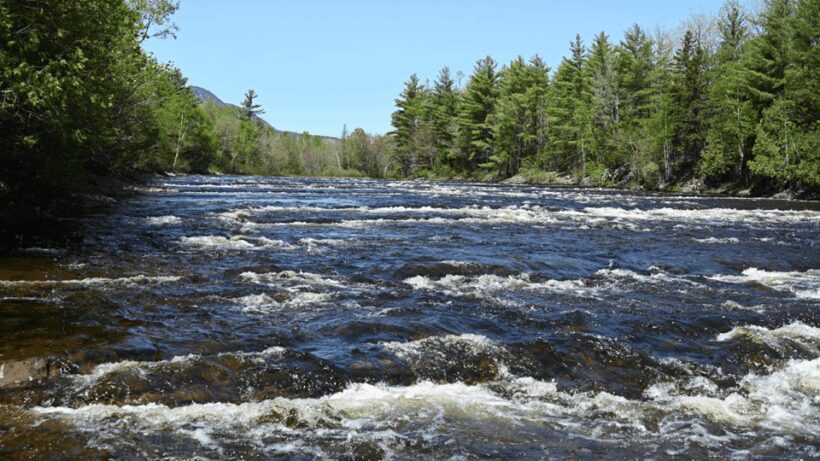Maine: Penobscot Downriver Boat Rides - FAQ