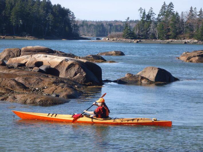 Maine: Penobscot River Guided Kayaking Tour - Exploring Maine’s Penobscot River: What You Can Expect