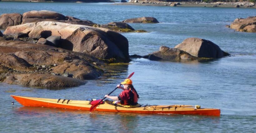 Maine: Penobscot River Guided Kayaking Tour - Value for Money