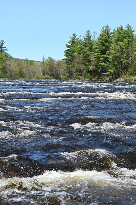 Maine: Penobscot River Private Charter Boat Ride - Analyzing the Value and Practicalities