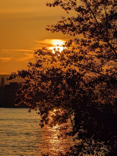 Mainz: guided evening tour of the Rhine embankment/old town in German and English - The Practical Side: Logistics and Value