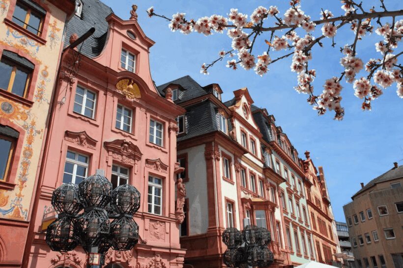 Mainz Guided Visit - Key Points