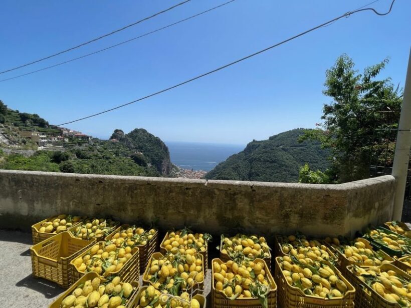 Maiori: Amalfi Coast Path of Lemons Day Trip with Tastings - The Sum Up