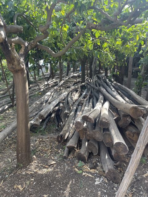 Maiori: Amalfi Coast Path of Lemons Day Trip with Tastings - FAQ