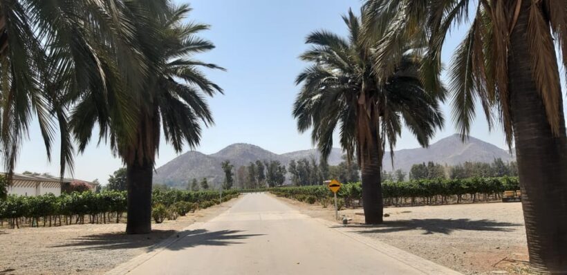 Maipo Valley: Private Full-Day Wine Tour - A Detailed Look at the Maipo Valley Private Wine Tour