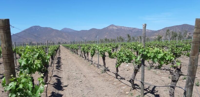 Maipo Valley: Private Full-Day Wine Tour - Who Would Love This Tour?