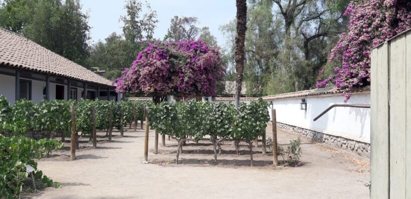 Maipo Valley: Private Full-Day Wine Tour - Final Thoughts