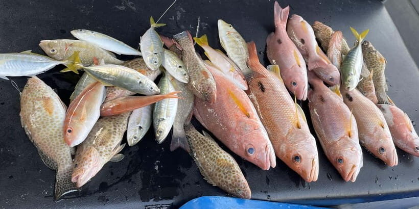 Maiton Private Island Night Squid Fishing & Small Game - Pricing & Value: Is It Worth It?