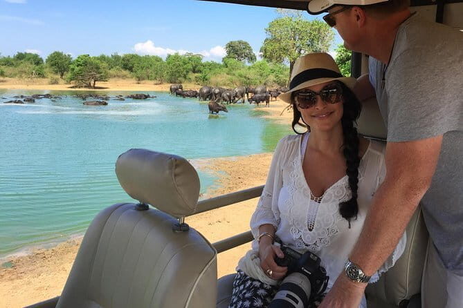 Majestic beast safari, Sri Lankas oldest Elephant Park-Udawalawe National Park - FAQ