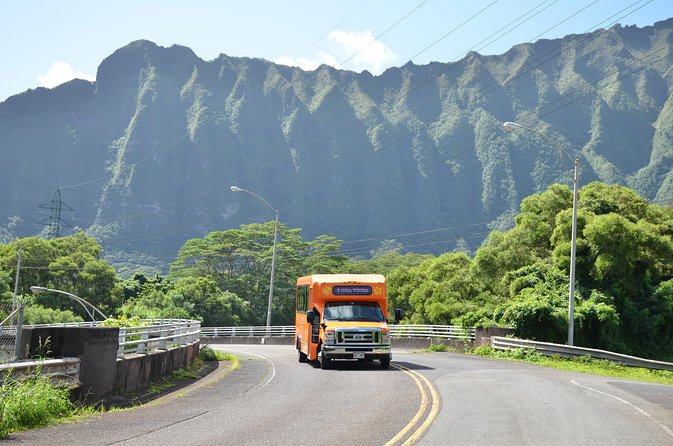 Majestic Circle Island Tour with Lunch - Who Will Love This Tour?