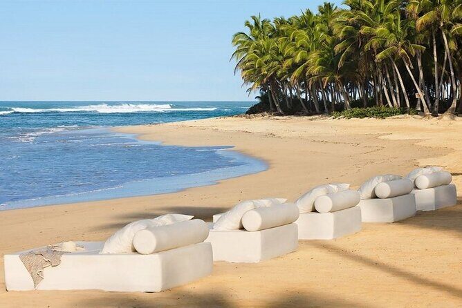 Majestic Elegance - Round Trip Shuttle - Punta Cana Airport - How the Service Works: From Airport to Hotel and Back