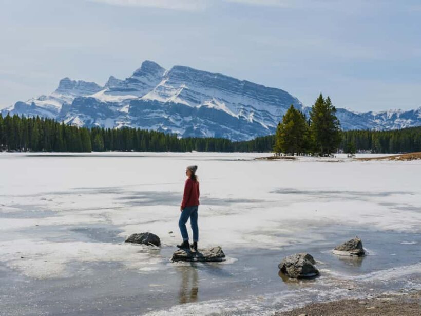 Majestic Icefield Private Day Tour from Calgary - An In-Depth Look at the Tour Experience