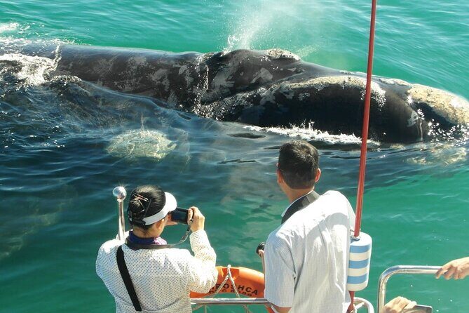 Majestic Mammals Of Sri Lanka: Whale & Elephant Safari Tour - Final Thoughts