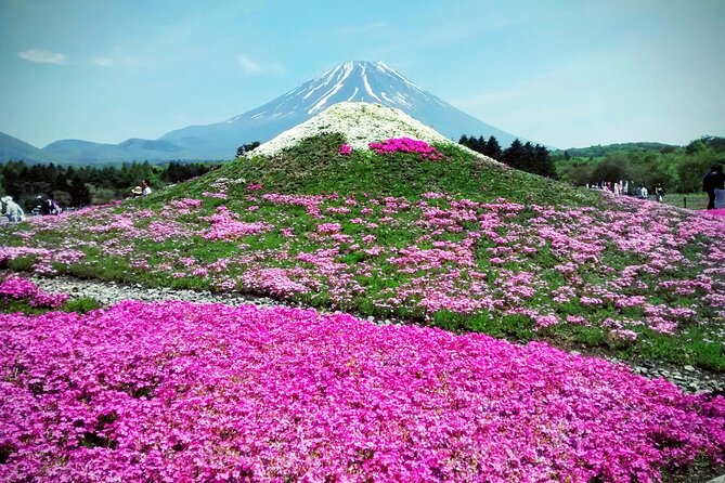 Majestic Mount Fuji: Exclusive Private Day Tour - Pickup and Meeting Details
