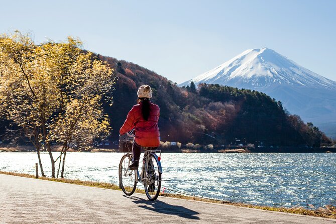 Majestic Mount Fuji: Exclusive Private Day Tour - Accessibility and Participation