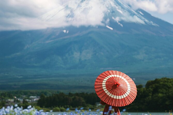 Majestic Mount Fuji: Exclusive Private Day Tour - Customer Experience
