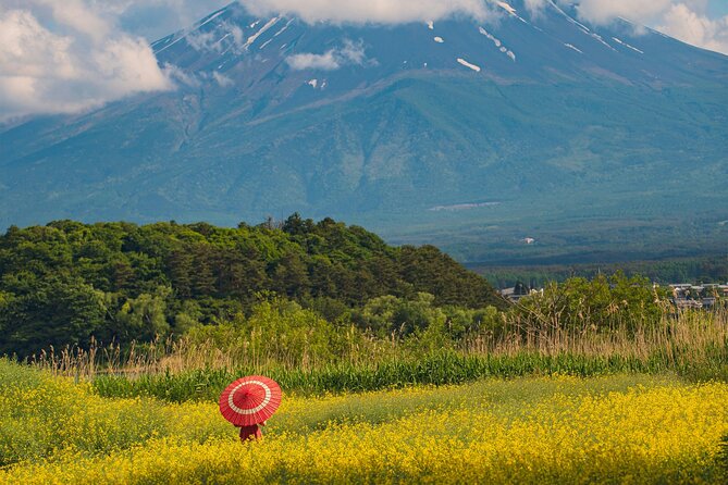 Majestic Mount Fuji: Exclusive Private Day Tour - Highlights