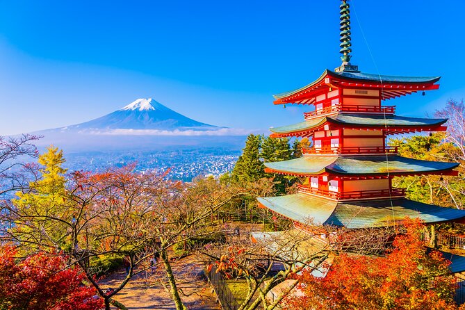 Majestic Mount Fuji: Exclusive Private Day Tour - Booking and Pricing