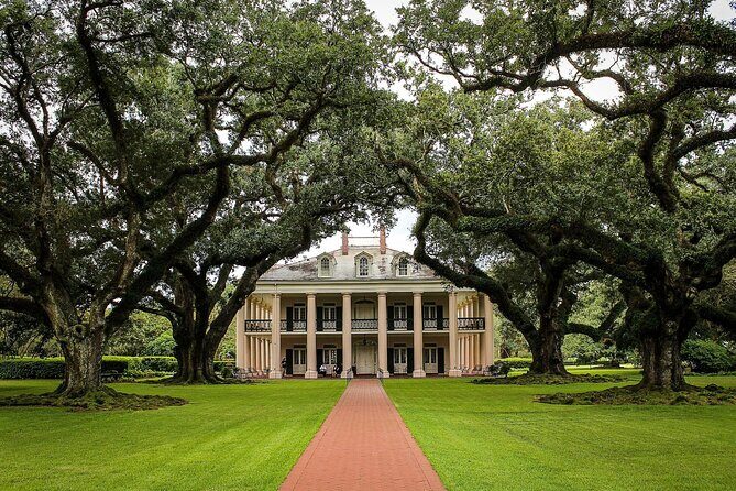 Majestic Oak Alley Plantation Tour - A Detailed Look at the Tour Experience