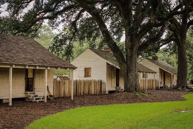 Majestic Oak Alley Plantation Tour - Practicalities and Considerations