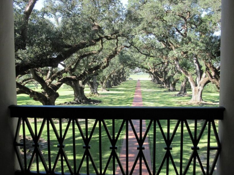 Majestic Oak Alley Plantation Tour - Final Thoughts