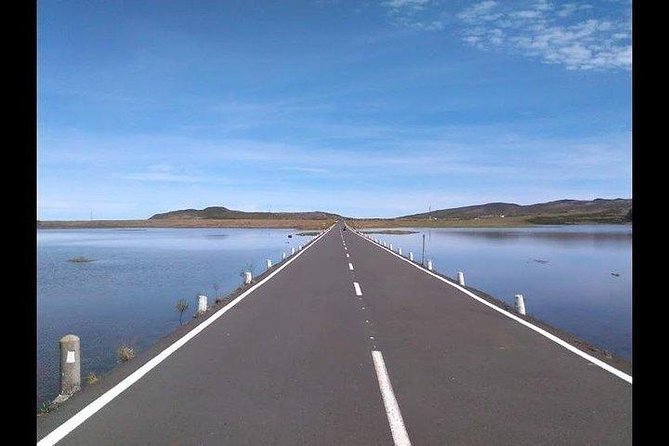 Majestic West Tour and Fanal Forest - Tour Overview and Highlights