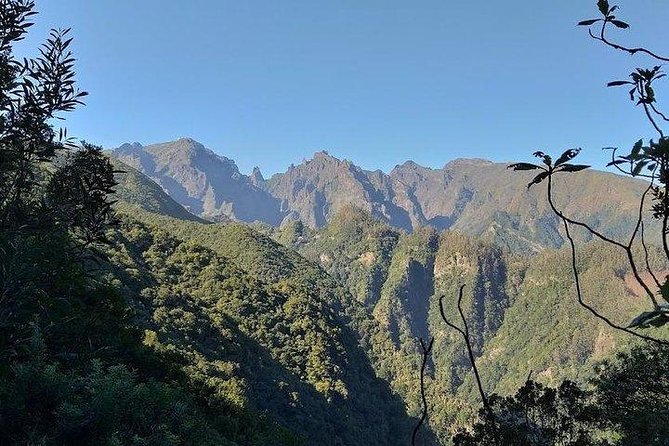 Majestic West Tour and Fanal Forest - Exploring Camara De Lobos and Estreito De Camara De Lobos