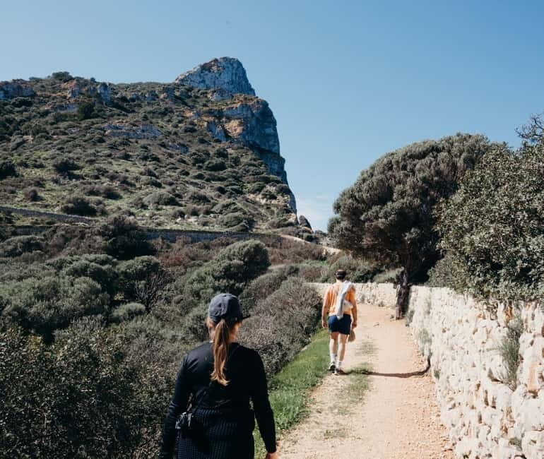 Majorca: Visit the Natural Park of Dragonera Island by boat - Key Points
