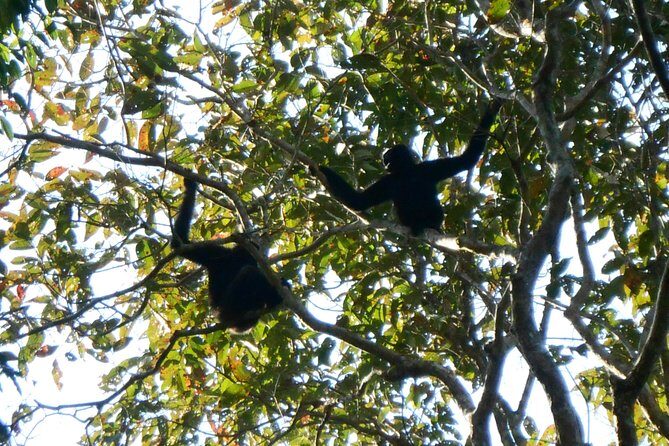 Majuli & Jorhat Escape: A Cultural & Scenic Adventure - Final Thoughts