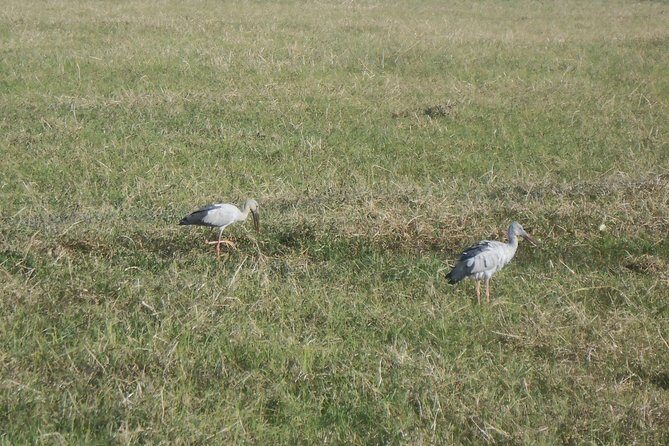 Majuli & Jorhat Escape: A Cultural & Scenic Adventure - FAQ