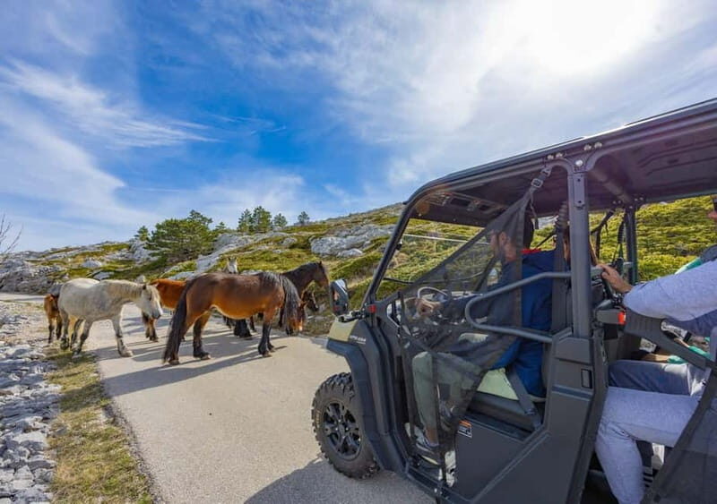 Makarska: Buggy Skywalk and Biokovo Tour - An In-Depth Look at the Tour