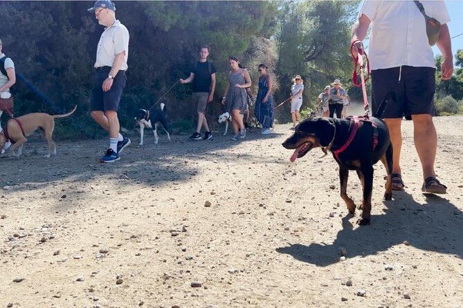 Make a dog's day and taste Greece in Skiathos - FAQ