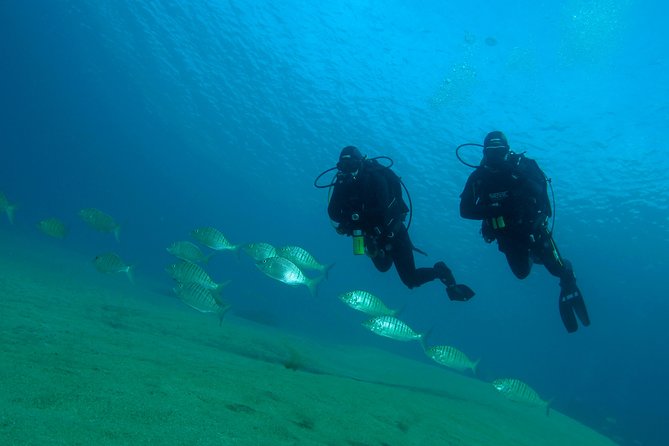 Make a Private Try Dive, for Your First Scuba Experience! - Pricing and Booking Information